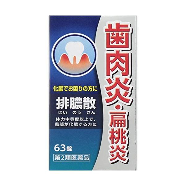 排膿散エキス錠J 63錠　定形外郵便　【第2類医薬品】商品紹介排膿散は比較的体力があり、患部が化膿する方の皮膚疾患、歯肉炎、扁桃炎を改善します。炎症を鎮め、膿を排出する働きがあります。本剤は漢方処方である排膿散の生薬を抽出し、乾燥エキスとし...