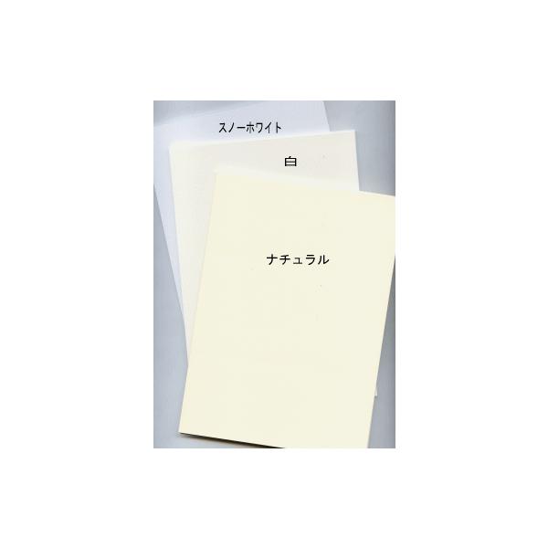●寸法： 8切判(272×392mm)/B4(257×364mm)/F4号(243×334mm)●厚さ： 約0.26mm●重さ： 約1.6kg●入数：80枚マーメイド160は画材用紙としても表現力豊かな、素材です。