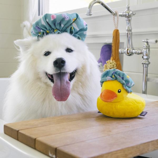 大人気のP.L.A.Y.（プレイ）犬用おもちゃシリーズ。Splish Splash（スプリッシュスプラッシュ）のアヒルさん＆バスグッズの登場です。友達と一緒にお風呂に入るのはいつも楽しい?。プレイのスプリッシュスプラッシュで、遊んで、洗い流...