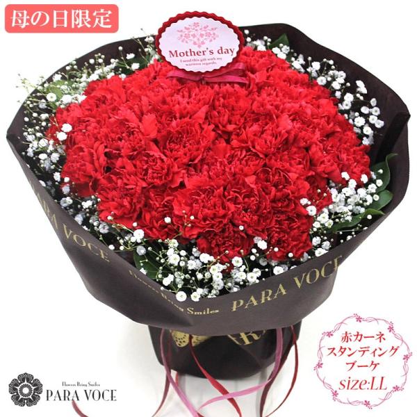 【ご注文前にご確認ください】※九州・北海道へのお届けは当店より発送で2日経ってのお届けとなりますので鮮度の保証ができません。又、遠方のため送料が900円かかります。ご注文をいただいた時点で了承済と判断をさせていただきますので、心配な方はご注...