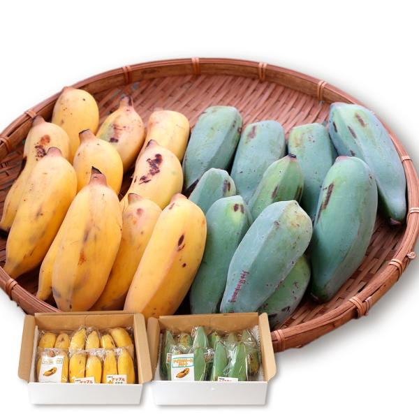 【沖縄県産バナナ食べ比べセットとは？】国産・無農薬のアップルバナナとアイスクリームバナナの2種セットです！【発送時期】発送まで10日程かかる場合がございます（ヤマト運輸）【規格】・アップルバナナ　約1kg（7〜16本）・アイスクリームバナナ...