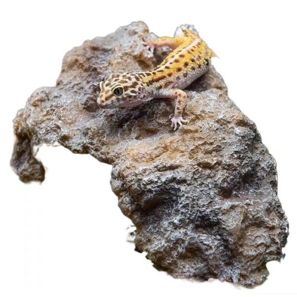 - 多機能な利用：- 素材：樹脂-サイズ：12.5cm*2.5cm*7cm- 隠れ家：リザード、ヤモリ、ヘビなどの爬虫類が安心して身を隠せるスペースを提供。- 休憩・脱皮場所：表面の粗い質感が脱皮を助け、また日向ぼっこや休息にも最適です。-...