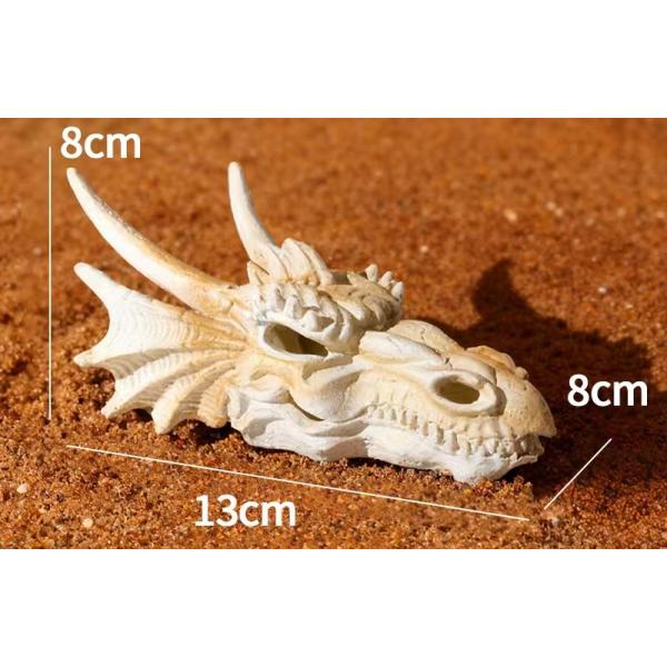 - 多機能な利用：- 素材：樹脂-サイズ：13cm*8cm*8cm 106g- 隠れ家：リザード、ヤモリ、ヘビなどの爬虫類が安心して身を隠せるスペースを提供。- 休憩・脱皮場所：表面の粗い質感が脱皮を助け、また日向ぼっこや休息にも最適です。...