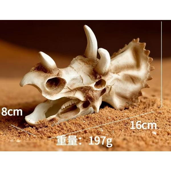- 多機能な利用：- 素材：樹脂-サイズ：16cm*8cm*11cm 197g- 隠れ家：リザード、ヤモリ、ヘビなどの爬虫類が安心して身を隠せるスペースを提供。- 休憩・脱皮場所：表面の粗い質感が脱皮を助け、また日向ぼっこや休息にも最適です...