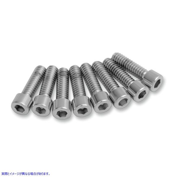 ガードナー・ウェスコット P-74-26  ドラッグスペシャリティーズ DS-190699 DS190699 Lifter Base Screw Kit Lifter Base Allens 77-99  GARDNER-WESTCOTT