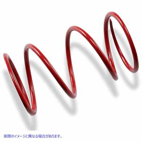 イーピーアイ PDS-19  ドラッグスペシャリティーズ PDS-19 PDS19 Secondary Clutch Spring Team Secondary Spring  EPI