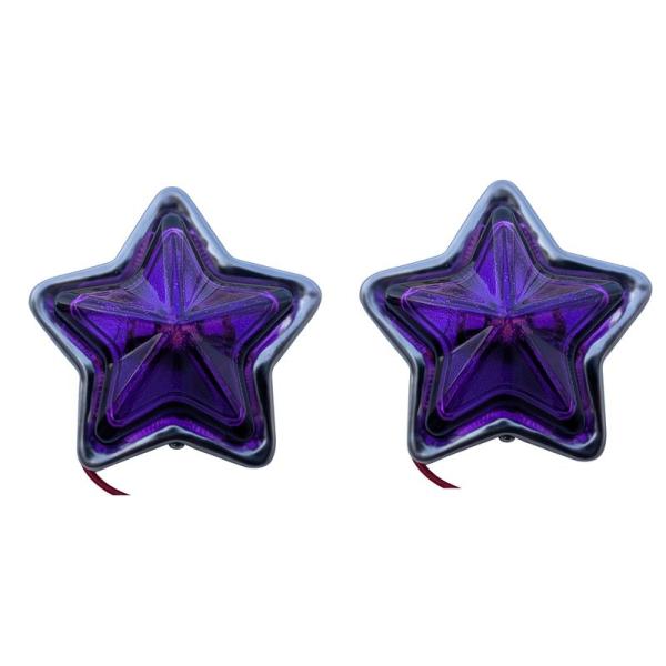 星型 汎用 レトロ ガラス LED マーカー スター マーカー 12V / 24V 兼用 2個セット になります。サイズは 直径約92ｍｍ 奥行約35ｍｍになります。装着は ボルト固定になります。材質はスチール製でレンズはガラスなります。新...