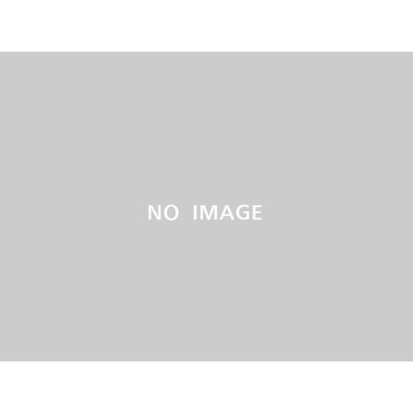 適用機種DB-R40L-D備考商品改良のため、仕様・外観は予告なしに変更することがありますのでご了承ください。