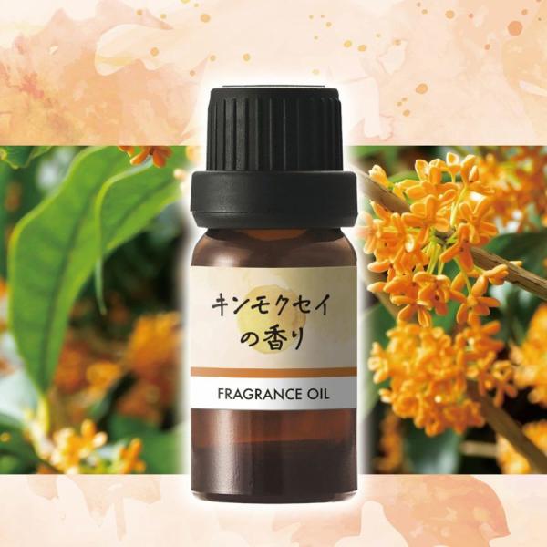 微香からモンスター級まで、香りをコントロールできるフレグランス 季節をイメージした温もりを感じる香り●カーメイト 噴霧式フレグランスディフューザー用フレグランスオイル。噴霧式フレグランスディフューザーでオイルが無くなるまで均一に香るように処...