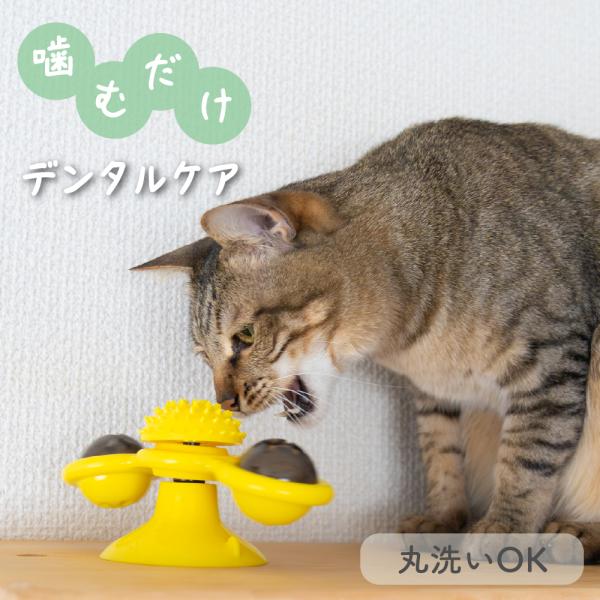 猫／猫用／猫用品／猫グッズ／猫おもちゃ／猫用おもちゃ／猫歯磨き／猫歯みがき／猫デンタルケア／猫歯垢除去／猫口臭対策／猫歯周病予防／猫デンタルトイ／猫回転おもちゃ／猫吸盤おもちゃ／猫固定おもちゃ／猫シリコンおもちゃ／猫LEDおもちゃ／猫知育玩...