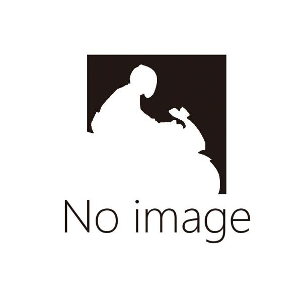 ◆適合車種NT1100(SC84-1000001)パニアケースの取り付けに必要なステーです