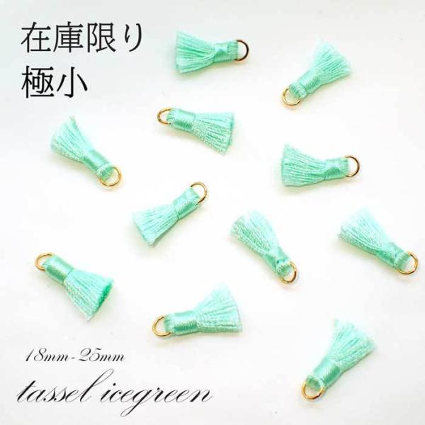 ポイント利用【商品説明】大好評のタッセルに、【極小】プチタッセルが新登場！プチサイズはピアスやイヤリング等アクセサリー製作にオススメ★パーツに通すだけで簡単オシャレなピアスにも◎お手軽にハンドメイドをお楽しみいただけます♪【商品仕様】・全長...