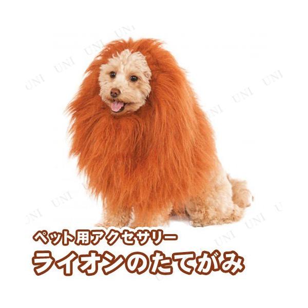 可愛いペットをかっこよく！装着するだけでジャングルの王ライオンに変身しちゃうたてがみアクセサリーです。コスプレ大会やハロウィンイベント等、愛犬と一緒に参加したいあなたにおススメ。もちろん普段使いで楽しむのもGood【キーワード】ペットコスチ...