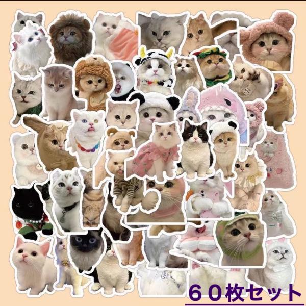 およそ3〜5センチぐらいのサイズで、たっぷり6０枚入った大人気のとってもキュートな猫ステッカーセットです。スーツケース、車、バイク、自転車、スノーボード、ギター、ヘルメット、パソコン、水筒、携帯、携帯ケース、ipad、ipadケース、ノート...