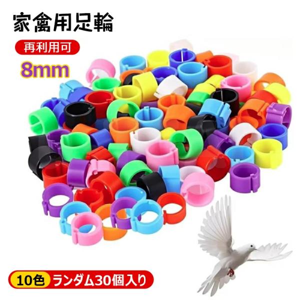 【パッケージ内容】8mm 10色 ランダム30個入り【素材】この鳥の脚のリングは、高品質のプラスチックを採用され、非毒性、耐摩耗性、頑丈で耐久性がおます。【取り付け簡単】この小鳥の足輪はシンプルで簡単に取り付けられるように設計されています。...