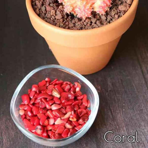 珊瑚 コーラル さんご さざれ石 50ｇ※こちらは着色した色になります。※天然石は自然の贈り物です。照明の関係実際の色と多少イメージが異なる場合がございます。あらかじめご了承くださいませ。