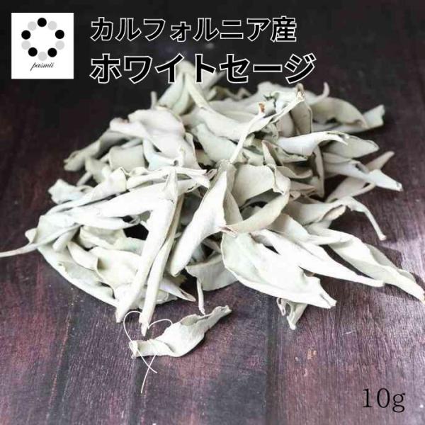 カルフォルニア産 ホワイトセージ 10g 無農薬カルフォルニア産※天然の ホワイトセージセージとなります。※葉のみをお入れする場合がございます。　　葉の崩れが気になる場合は、宅急便コンパクト便などをご選択くださいませ。　崩れも考慮し、少し多...