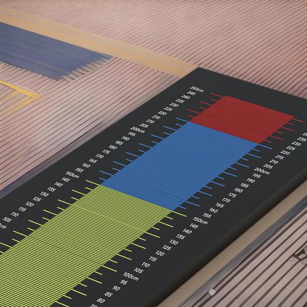 立ち幅跳び マット 防滑 走り幅跳び 測定 マット 高校入試用 体操用マット 立ち幅跳び用メジャーシート 室内 家庭用 騒音低減 競技備品 運動会用品 ゴム製200*50cm立ち幅跳び用マットの目盛りは 170cm センチメートルです250...