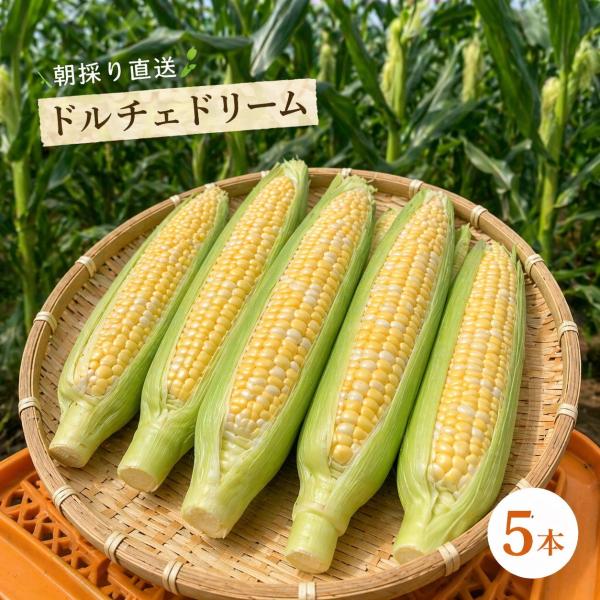 【発売日：2026年05月07日】朝採りのとうもろこし「ドルチェドリーム」を新鮮なままお届けいたします。粒皮が柔らかい為、生でも食べれるほど甘いのが特徴です。フルーツのような味わいをお楽しみいただけます。※常温発送商品です。■ドルチェドリー...
