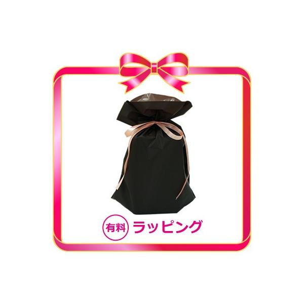 ※商品の外箱サイズに合わせて最適な大きさのラッピング袋を当店にてセレクトさせていただきます。※ラッピング袋に入らない商品はお受けできない場合がございます。その場合はご連絡させていただきますので予めご了承をよろしくお願いいたします。【ラッピン...