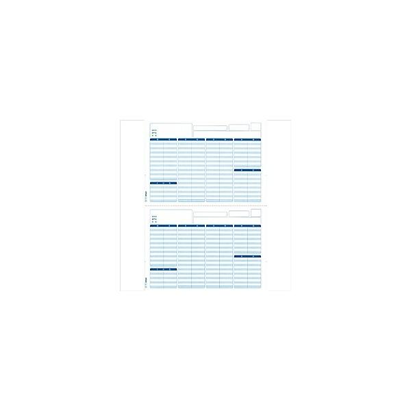 Q33A EPSON Q33 エプソン エプソンダイレクト エプソンダイレクト株式会社 支給明細書A4単票