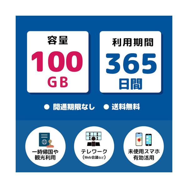 【発売日：2022年11月25日】20221109-100365 モバイル・プランニング 20221109 20221109100365 モバイル プランニング プリペイドSIM 100GB 365日 ドコモ