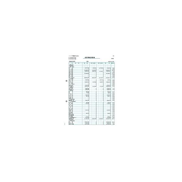 【発売日：2008年11月28日】SR4501 ソリマチ SR45 合計残高試算表