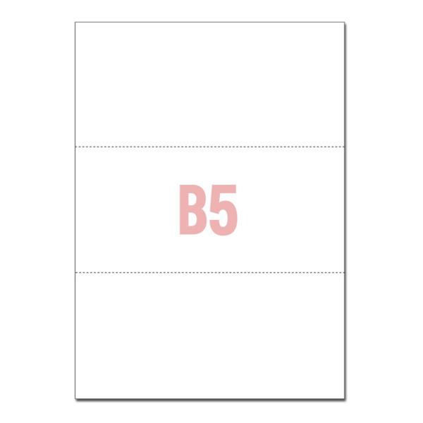 ■北海道・沖縄・離島へのお届けの際は、送料無料金額に達している場合でも追加送料 1000円をご請求させて頂きます。領収書は送付先名にて発行し商品に同梱させて頂きます。別名にてご希望の場合は備考欄にその旨ご記入下さい。コピー用紙 マイクロミシ...