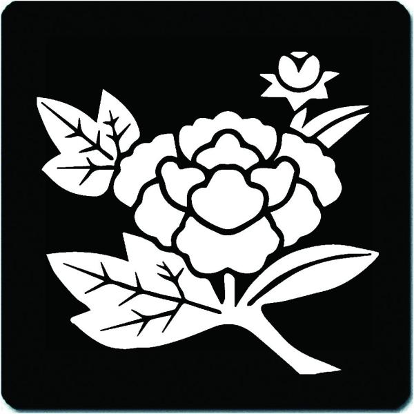 ・こちらの商品は全国送料無料で発送いたします・日本郵便のクリックポストでの発送となり2日〜3日程でお届けの予定です・領収書は送付先名にて発行し商品に同梱させて頂きます　（別名にてご希望の場合は備考欄にその旨ご記入下さい）・在庫管理は定期的に...