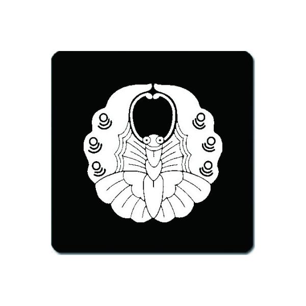 ・こちらの商品は全国送料無料で発送いたします・日本郵便のクリックポストでの発送となり2日〜3日程でお届けの予定です・領収書は送付先名にて発行し商品に同梱させて頂きます　（別名にてご希望の場合は備考欄にその旨ご記入下さい）・在庫管理は定期的に...