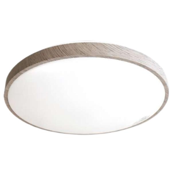 【発売日：2024年02月21日】