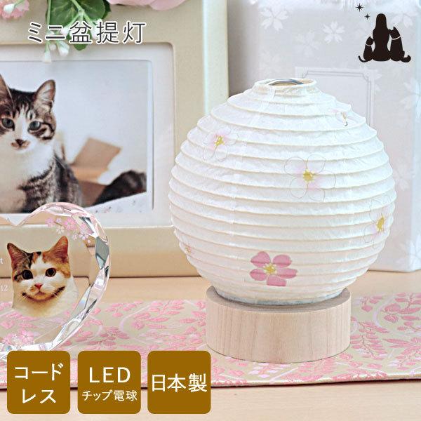 美濃和紙に桜の花びらを上品に描いたおしゃれな盆提灯。コロンとまんまるいかわいいデザインで、コードレス、ミニサイズの盆提灯。手元供養、ミニサイズの仏壇まわりにもコンパクトに置けるミニサイズ。美濃和紙と台座の木製がやさしい雰囲気の盆提灯。電池式...