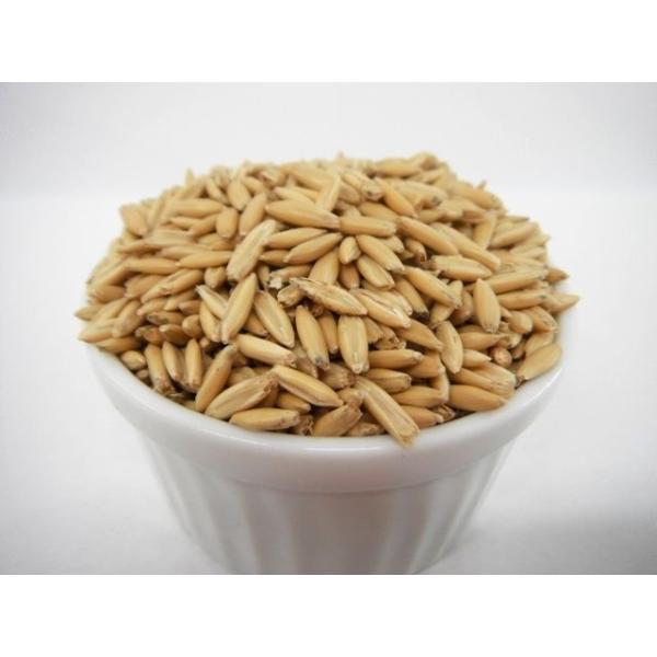 オカメインコを中心に嗜好性が高いエン麦(殻付)です。おやつや副食に。おやつ、副食、シードの中でも柔らかいので疾病や体質など胃が弱い鳥さんにもおすすめです。当店オリジナルパック(脱酸素材パック)です。【免責事項（商品について）】* 農作物です...