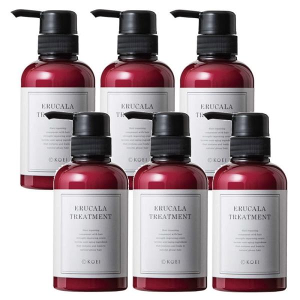 香栄化学 エルカラ トリートメント 300g×6点セット : PECHKA - 通販