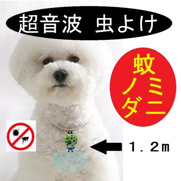 蚊・ノミ・ダニなどの害虫からペットを守る超音波虫よけです。薬品を使わない虫よけなので【安心】【安全】です。低強度の超音波はわんこ・にゃんこに無害で健康を損なうことはありません。夏の蚊、年中いるノミ・ダニなどお薬を飲ませていても　お散歩の時　...