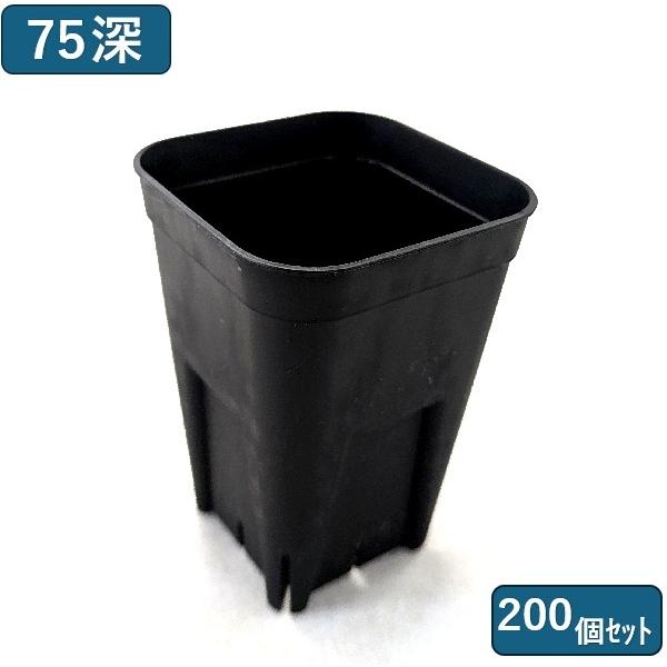 硬質ポットなので丈夫で長持ち。スリットにより、根がのびのび育ちます。挿しラベルが挿しやすく、抜けにくい。●材質・・・ポリプロピレン単品サイズ ・・・ 75型 深鉢　62ｘ62ｘH90ｍｍ カラー・・・ブラックお届け個数・・・200個