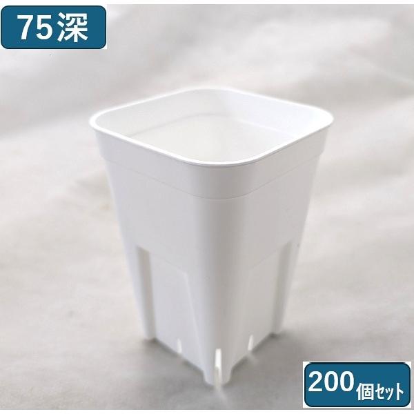 硬質ポットなので丈夫で長持ち。スリットにより、根がのびのび育ちます。挿しラベルが挿しやすく、抜けにくい。●材質・・・ポリプロピレン単品サイズ ・・・ 75型 深鉢 62ｘ62ｘH90ｍｍ カラー・・・ホワイトお届け個数・・・200個