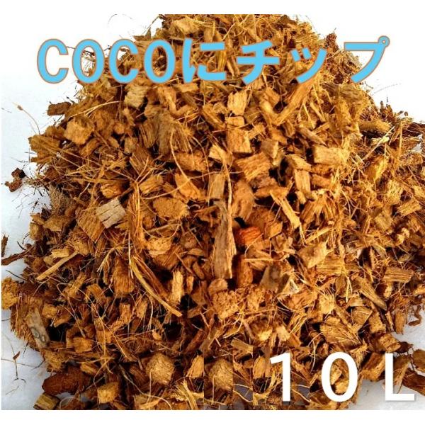 あく抜き、成分分析済です！COCOに使えます！（使用用途）●園芸用土と混ぜて土壌改良材として●マルチング材として●爬虫類・昆虫等の床材としてCOCOが特長！●天然ヤシの実を使用しているので100%オーガニック商品です。●ココチップは再生可能...