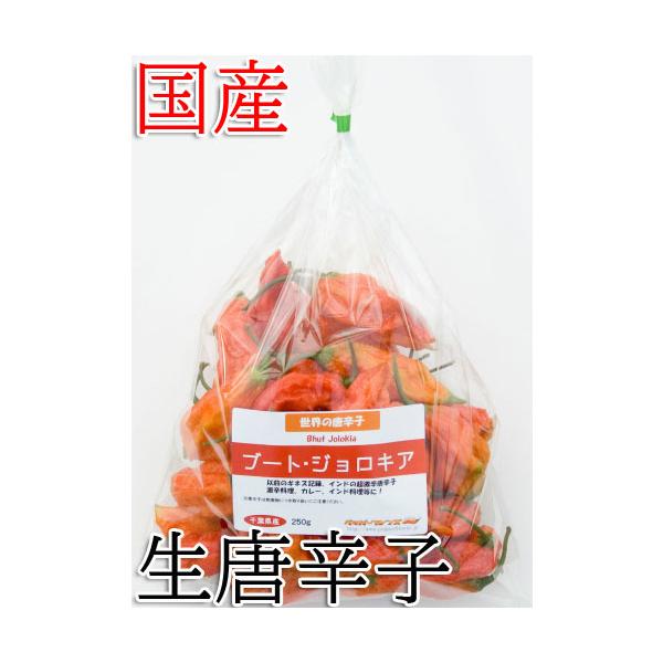 ※※生の唐辛子は収穫時期（夏〜秋）だけの販売となります。季節外は冷凍品の取り扱いもございます。※※あのハバネロを超え、強烈な辛味を持つブート・ジョロキア(Bhut Jolokia)です。表面はざらついていて、果肉が薄めなのが特徴です。赤色の...
