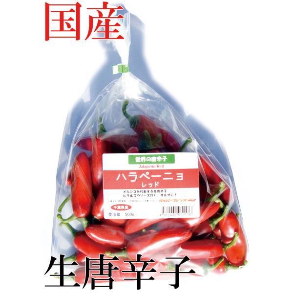 ※※生の唐辛子は収穫時期（夏〜秋）だけの販売となります。季節外は冷凍品の取り扱いもございます。※※ハラペーニョ(jalapeno)はメキシコを代表するグリーンチリですが、こちらはそのハラペーニョが熟して赤くなったものです。<br&gt...