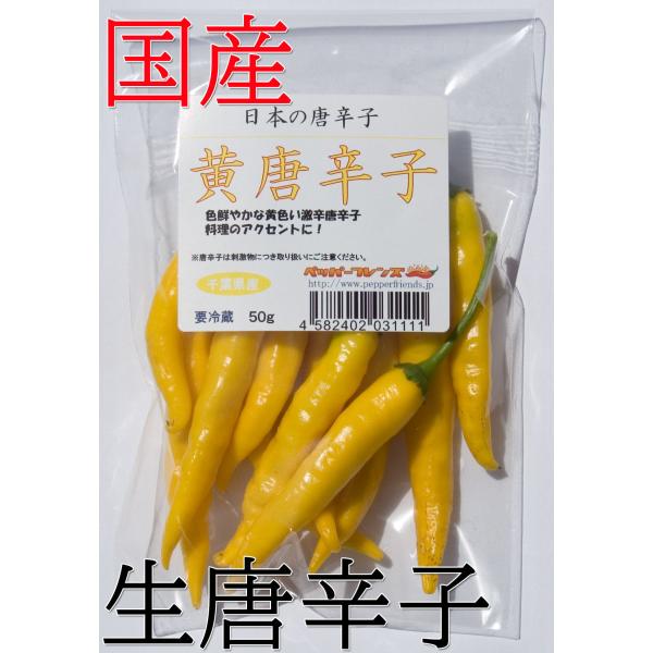 ※※生の唐辛子は収穫時期（夏〜秋）だけの販売となります。季節外は冷凍品の取り扱いもございます。※※熟すと鮮やかな黄色の実になる激辛唐辛子です。■関連ワード黄唐辛子 黄色唐辛子 きとうがらし 黄とうがらし