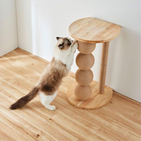 「もっとのびのび爪とぎさせてあげたい」そんな気持ちに応える、高さ64cmの爪とぎ。丸い麻縄の“バリバリ感”が心地よく、窓辺に置けば外を眺めながらくつろげる、遊びと癒しを兼ねた爪とぎ兼ミニタワーです。●高さ64cmで、思いきりのびてバリバリ高...