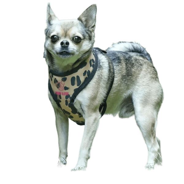 素材: ポリエステル100%。優れた耐久性。デザイン: レオパード柄、ロゴ。留め具: プルオーバー、サイドリリースバックル。ライニング: 優れた通気性、メッシュ。※ サイズ(cm)は胸周りの目安です。