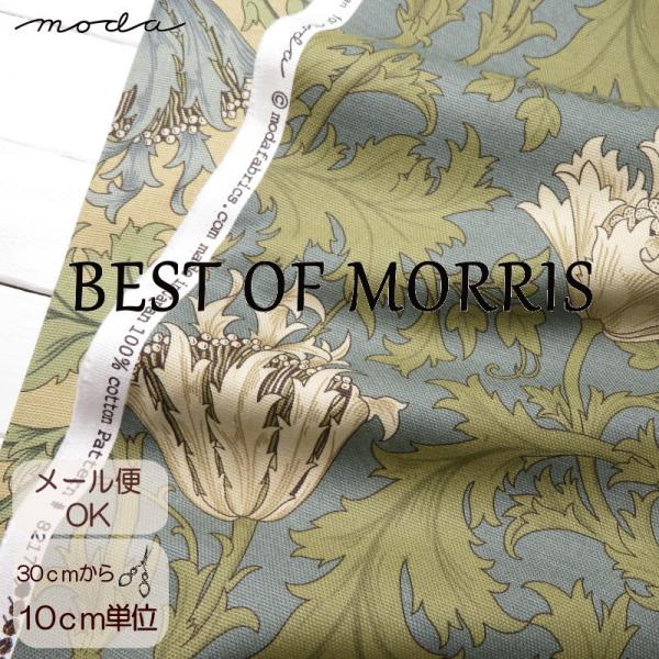 魅力的な美しいデザインで人気のウィリアムモリスデザイン生地 お洋服からインテリアまで幅広くお使いいただけます ◆ 素材　綿　100％◆ 生地巾　約110ｃｍ◆ 生地の種類　オックス◆ 表示価格　10ｃｍあたりです。◆ ご注文単位　30cm以...