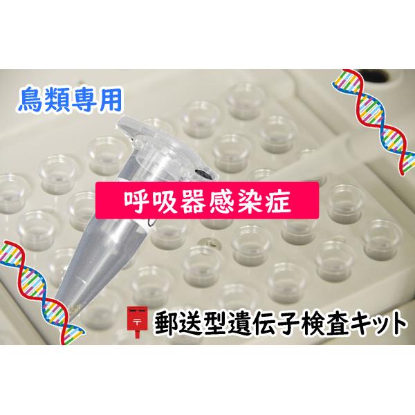 小鳥の糞便、スワブ、血液などの各種検体サンプルより任意１種類の細菌等の陰性、陽性を判定し結果をご連絡します検出可能な対象　呼吸器疾患の原因となる　<鳥クラミジア>　+　<鳥マイコプラズマ　MG+MSの2種>のセット検...