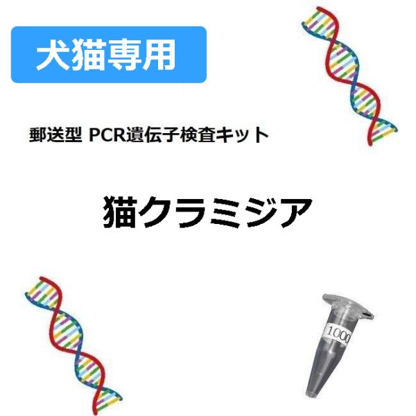 高感度なリアルタイム式PCR遺伝子検査を自宅で簡単に受けられる検査キットです対象ウイルス　猫クラミジア検体採取　鼻水、涙、歯肉部のいずれかを綿棒で拭ったもの検査日数　標準7〜10日(当研究所で受領後)オプションで猫ヘルペス検査も可能です、ご...