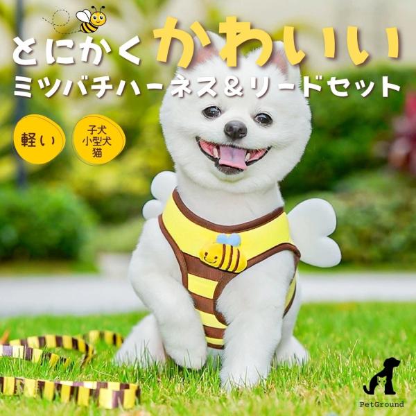 【商品名】犬 猫 兼用 ミツバチ ハーネス リード セット 小型犬 軽量 メッシュ 通気性 羽付き かわいい  苦しくない 抜けない 【かわいいミツバチデザイン】ふんわり羽根がキュートなペット用ハーネス＆リードセット。軽くて柔らかい素材で、...