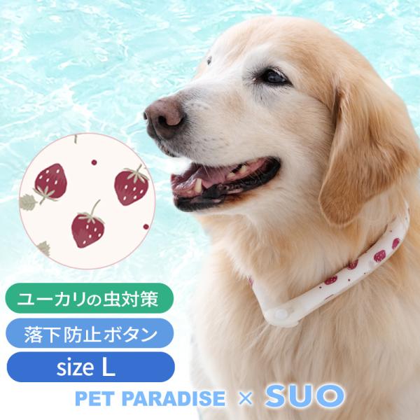 ■素材外　側：TPU（耐熱温度 -70〜-60℃/60?80℃自己消火性）内容物： Temperature Control / Ingredient（温度制御成分PCM）/ 香料（ユーカリオイル）★HOTキーワード★小型犬 ボタン付き ボタ...