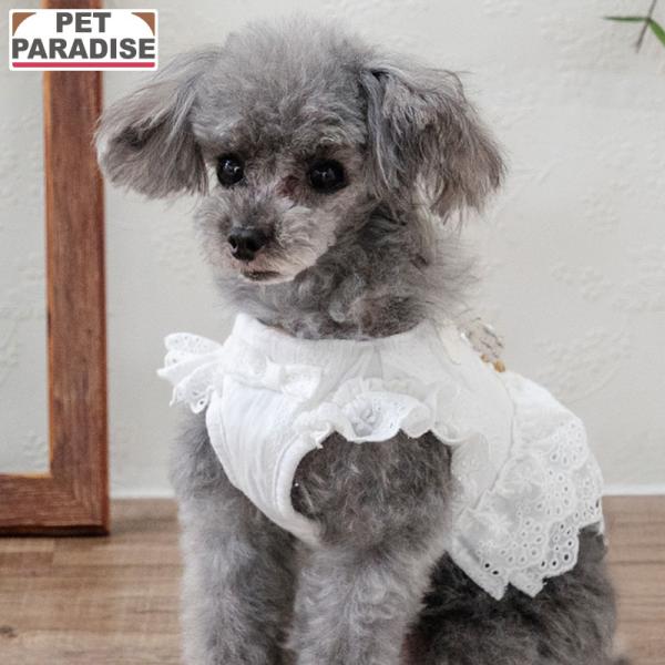 ■本体：綿100％　裏地：ポリエステル100％■お洗濯/洗濯機洗いできます(裏返して洗濯ネット使用)■サイズ展開/4S/3S/SS/S/SM■仕様／ * サイズによって面ファスナーの枚数が異なります■特徴/  【反射】暗闇で車などのライトに...