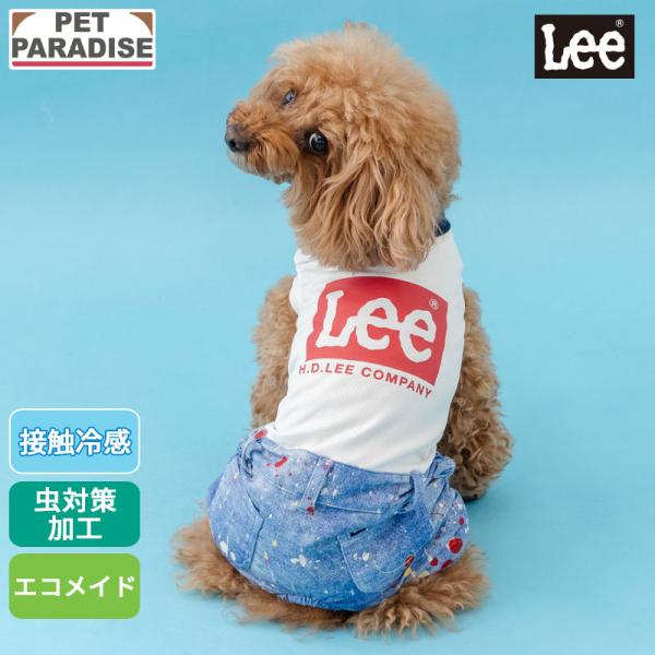 ■素材／本体：ポリエステル86％（クールマックス(R)オールシーズン43％使用）　ポリウレタン14％　パイピング：レーヨン70％　ポリエステル25％　ポリウレタン5％ ■お洗濯／洗濯機洗いできます。（ネット使用）■サイズ展開／３Ｓ/ＤＳＳ/...